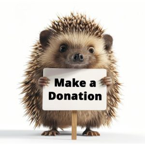 Help a Hedgehog – Registered Charity